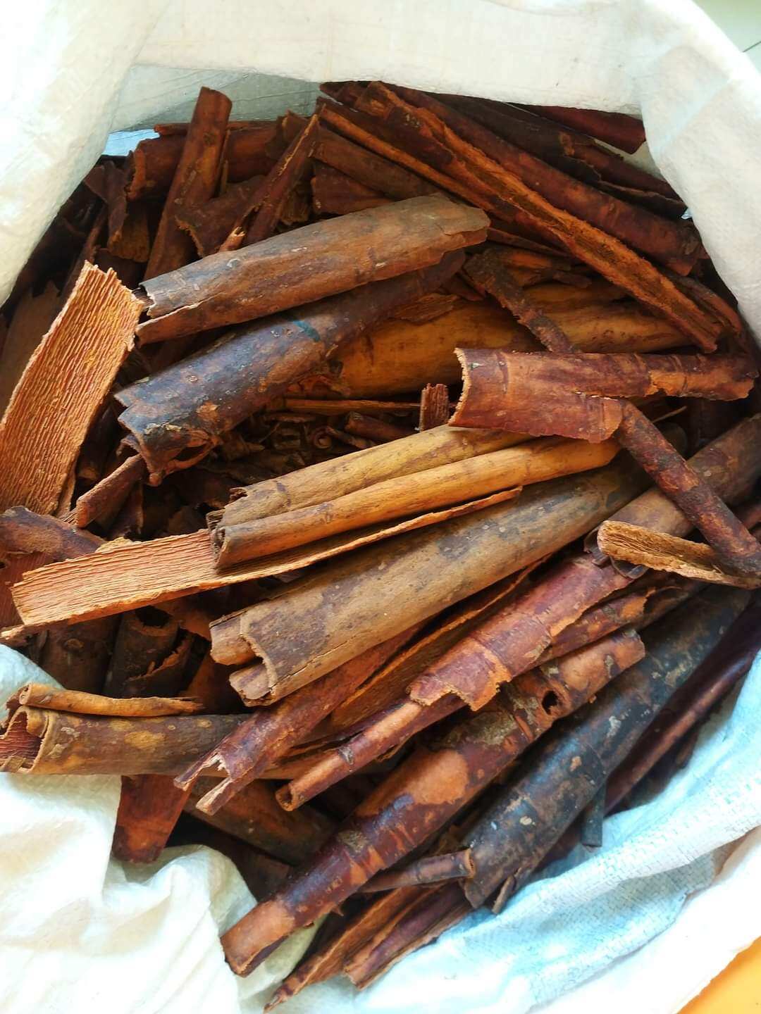 Kayu Akway: Tumbuhan Obat dari Papua dengan Segudang Manfaat - Ramuan ...